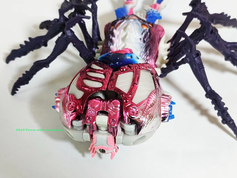 Transformation Toy BotCon Beast Wars Transmetal Arcee MISB IN STOCK | eBay