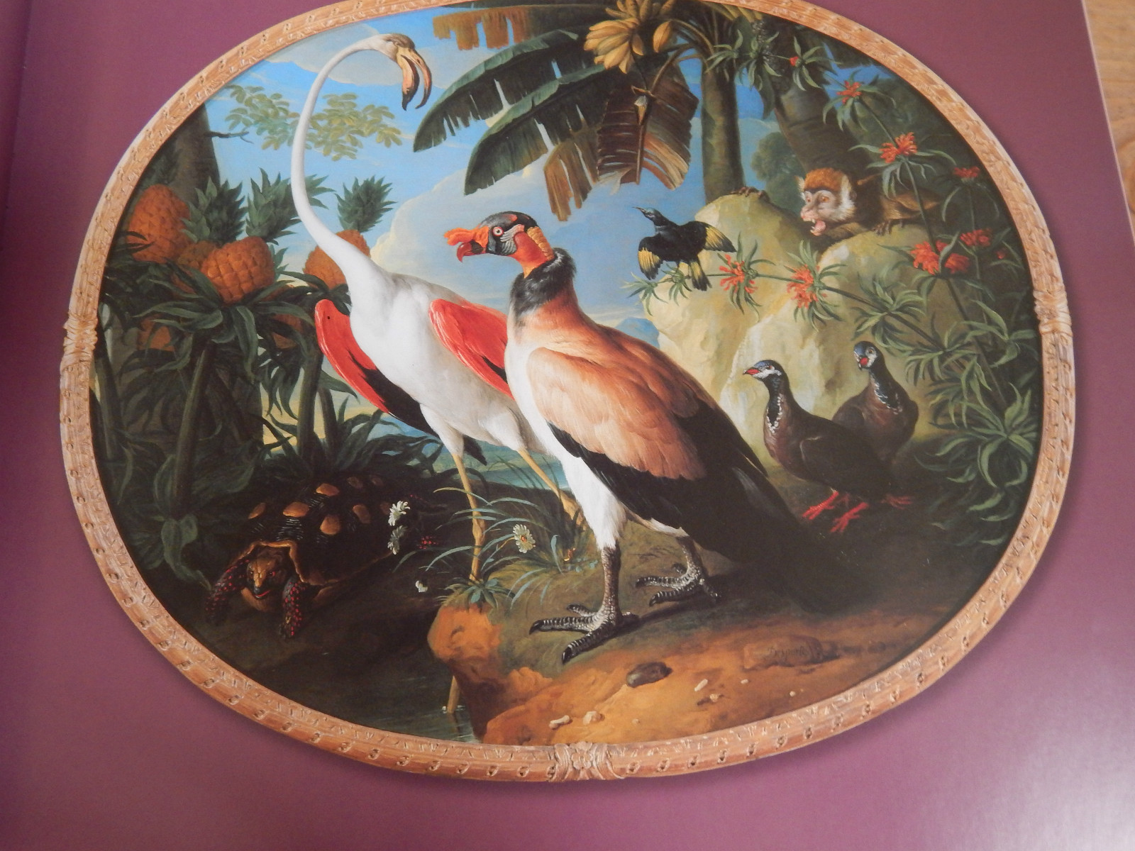 Birds Katrina Cook Large Hardback Paintings Drawings Sketches ...