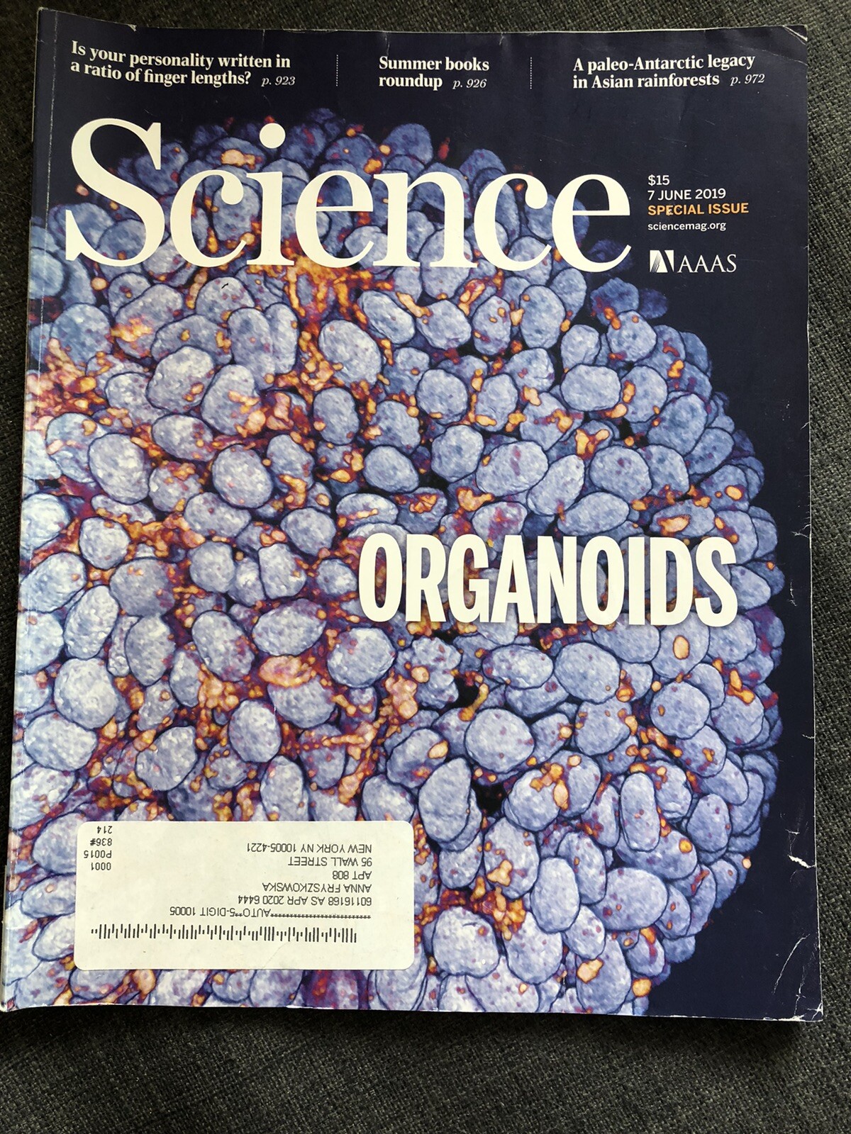 AAAS SCIENCE MAGAZINE 2019 07 June Vol 364 No 6444 Charitable Auction ...