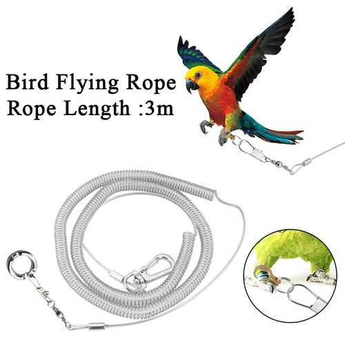 3M Bird Leash Leg Ring Ultra-light Parrot Bird Harness Flying Training ...
