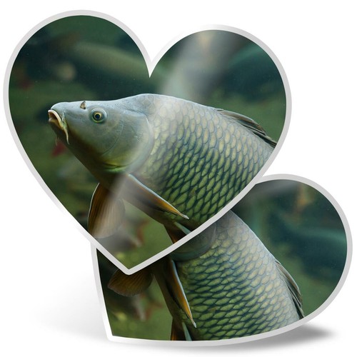 2 x Heart Stickers 15 cm - Wild Common Carp Fish Fishing #15753 | eBay