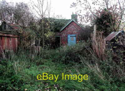 Photo 6x4 South of Red Hall Farm Winestead Derelict property next door ...