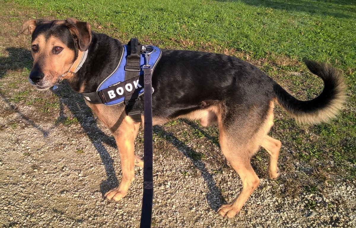 oldbookslab ... ma non solo libri! | eBay Stores