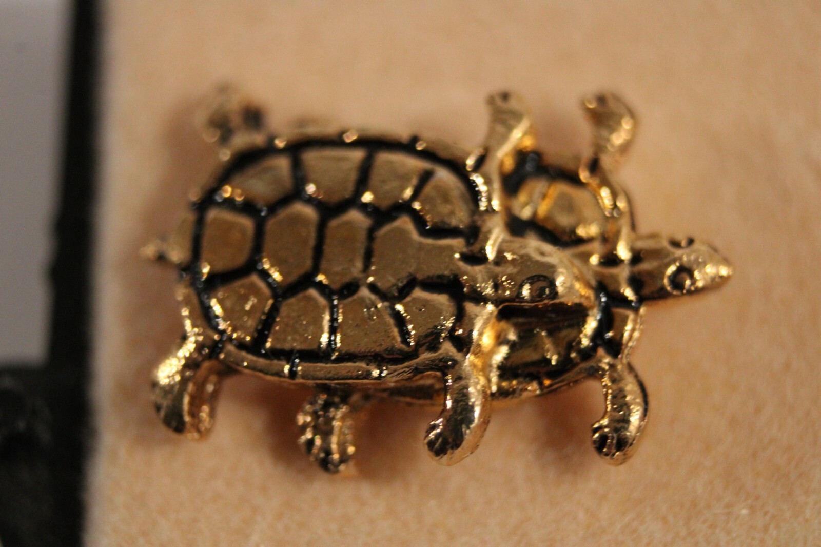 Order of the Turtle Breeder Pin Pinback Lapel Honorable Freemason Mason ...