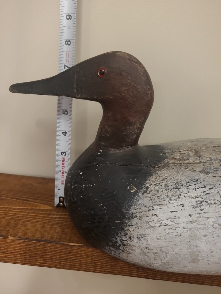 LARGE OLD VINTAGE CANVASBACK DUCK DECOY DRAKE, High Neck, Solid Wood ...
