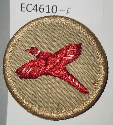 Boy Scout Patrol Medallion Red Bird Patrol Patch | eBay
