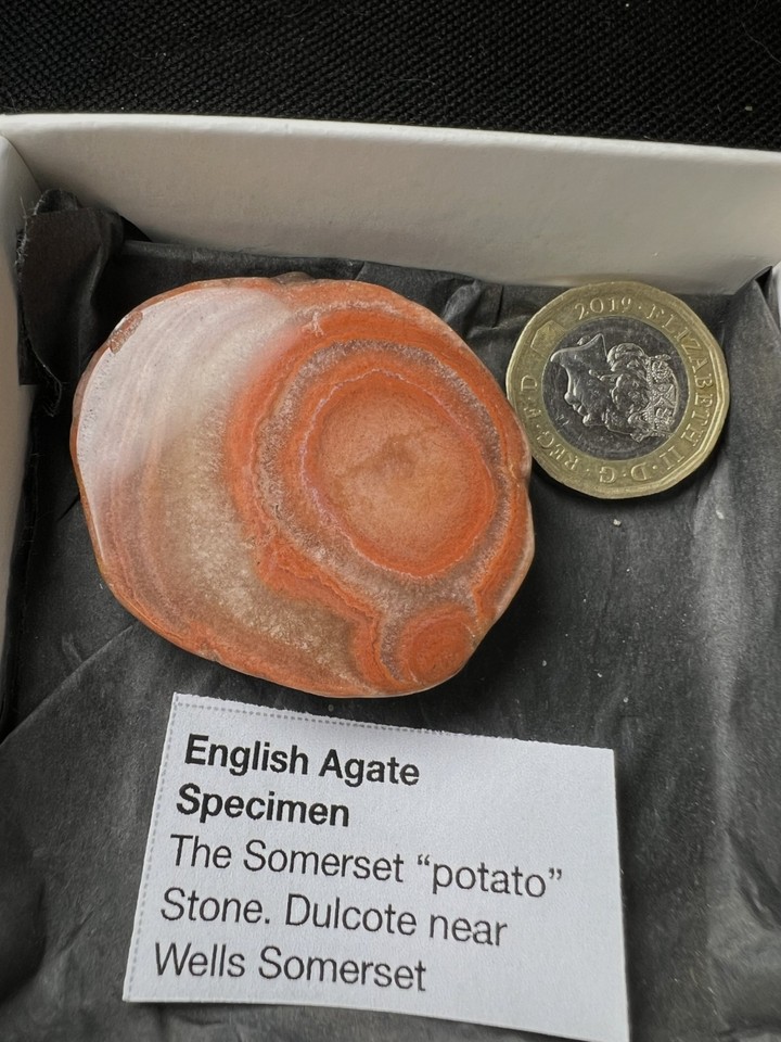 English Agate Specimen "potato" stone From Somerset- Gift, crystal ...