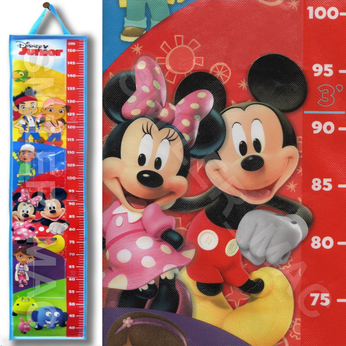 Minnie Mouse Growth Chart
