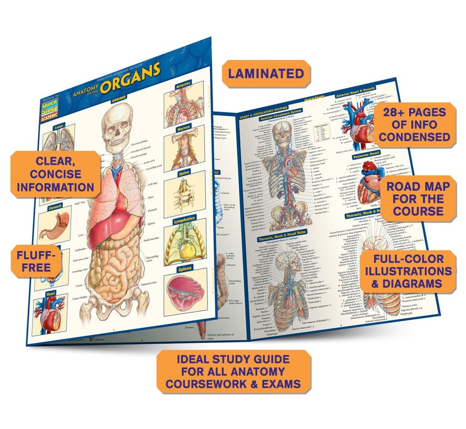 Anatomy of the Organs QuickStudy Laminated Reference Guide (QuickStudy Academic) | eBay