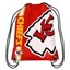 NFL Football Drawstring Bag - Backpack - Gym Bag - PICK YOUR TEAM | eBay