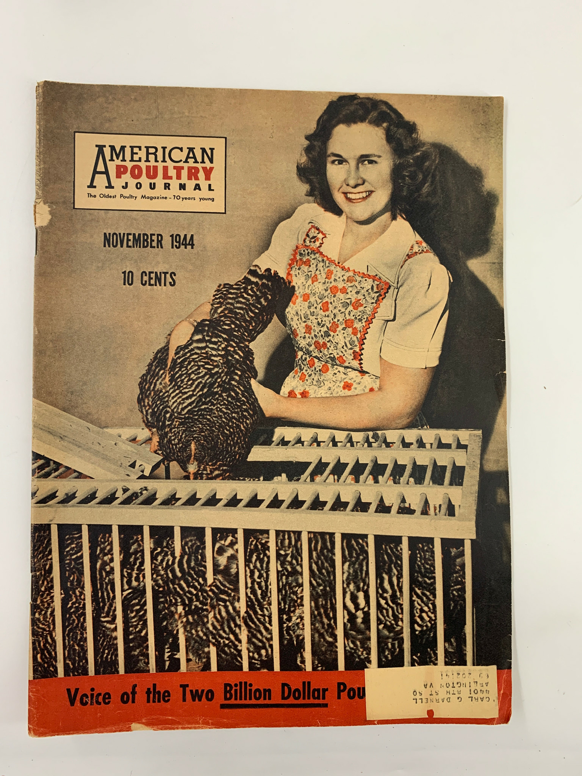 VTG American Poultry Journal November 1944 Select Next Year's Turkey ...