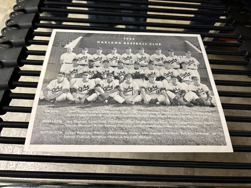 original 1954 OAKLAND OAKS PCL BASEBALL TEAM PHOTO w/ negro leaguer ...