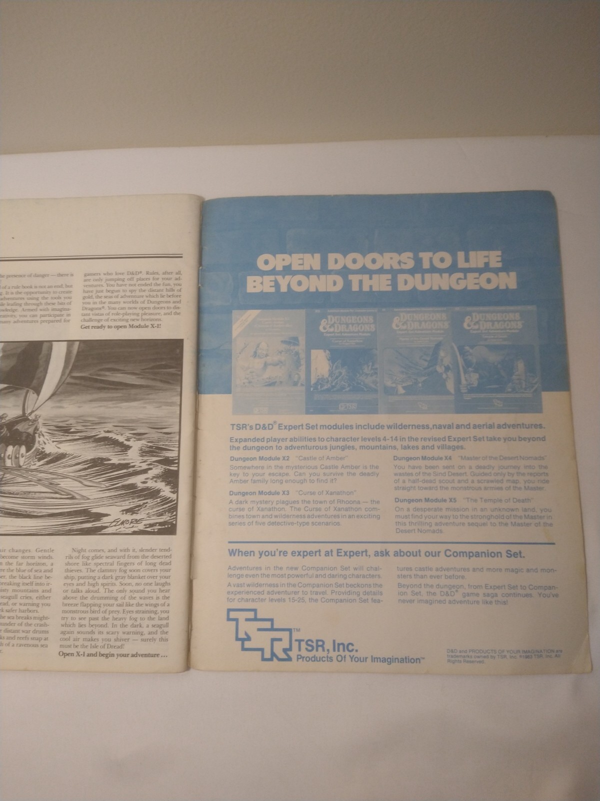 Dungeons & Dragons Expert Rulebook, TSR, First Printing 1983 | eBay