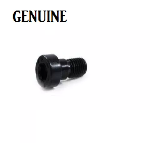 BMW E39 E46 Z3 E53 X5 E60 E83 X3 E85 Z4 Vanos Unit Fit Bolts Pair Set ...