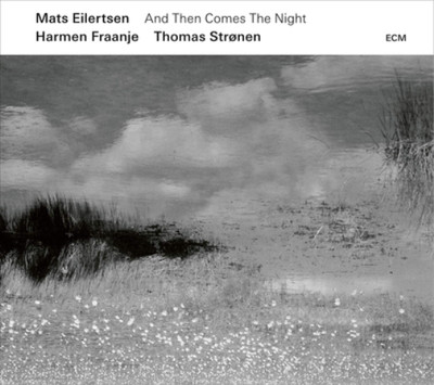 Mats Eilertsen Trio And Then Comes the Night (CD) Album | eBay