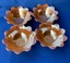 4 Pc. VINTAGE PEACH LUSTER FLOWER SWIRL TERMOCRISA BOWLS | eBay