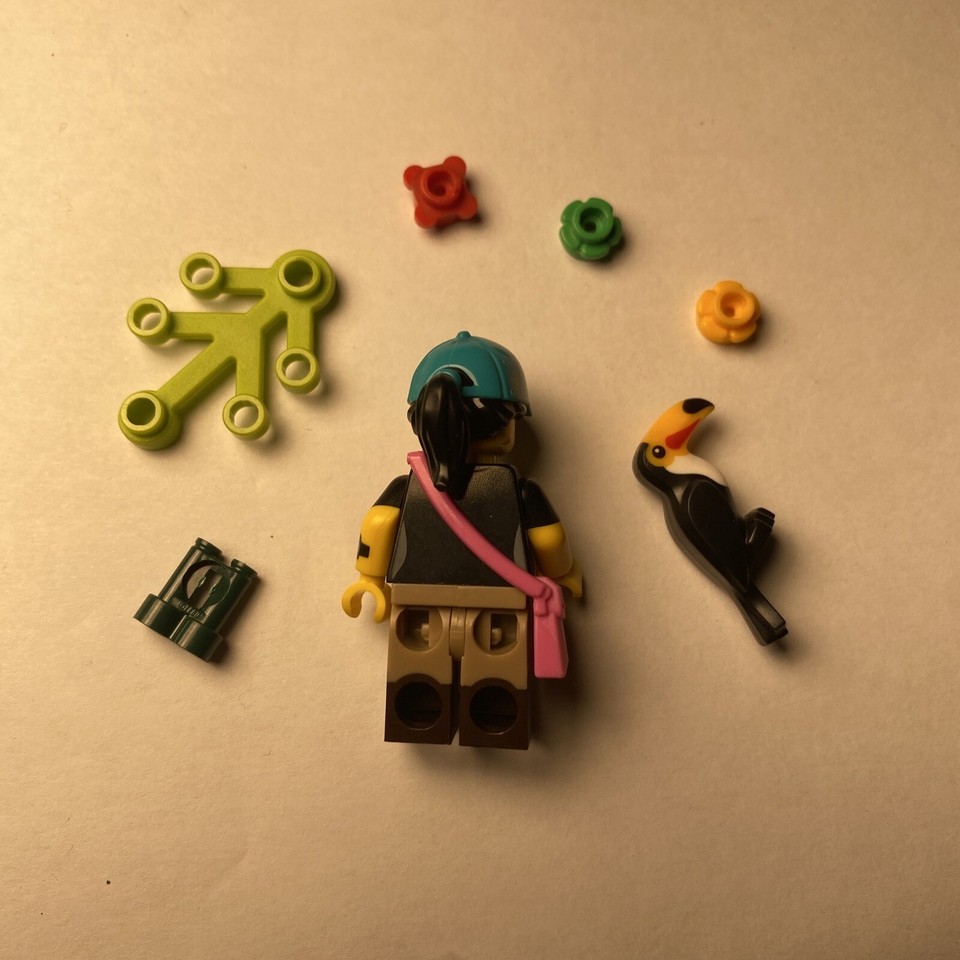 LEGO CMF Series 22 Bird Watcher Girl Minifigure (71032) | eBay