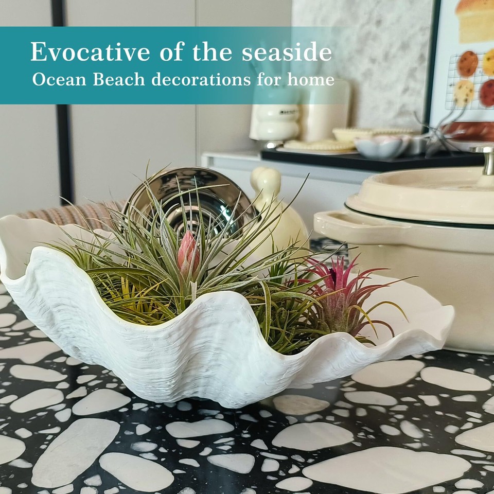 Extra Large Clam Shells Decorative Bowlwhite Sea Shells Decorative ...