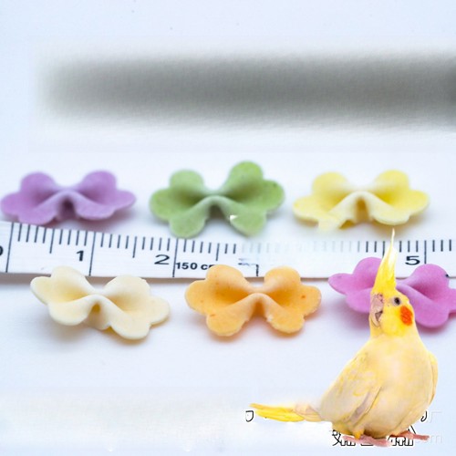 Handmade bow-tie pasta snacks, bird snacking snacks, and bird snacks | eBay