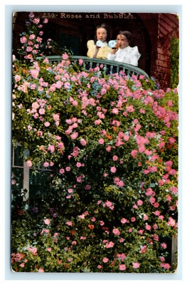 POSTCARD Roses and Bushes Girls on Stairs Pink Flowers Edward Mitchell | eBay