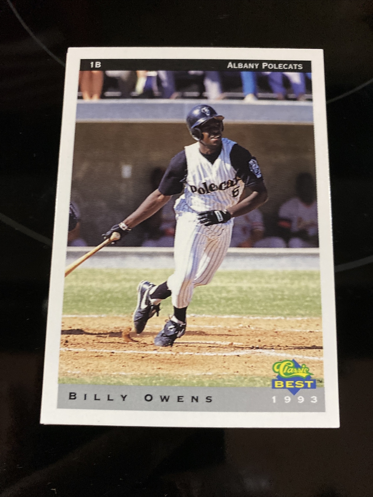1993 ALBANY POLECATS TEAM SET/CLASSIC BEST/MINOR LEAGUE Baseball Cards ...