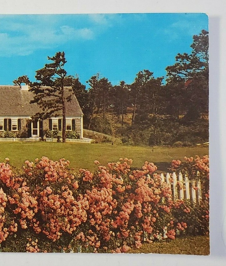 Authentic Cape Cod House ~ Cape Cod, MA. -Post Card/Unposted - #68336 ...