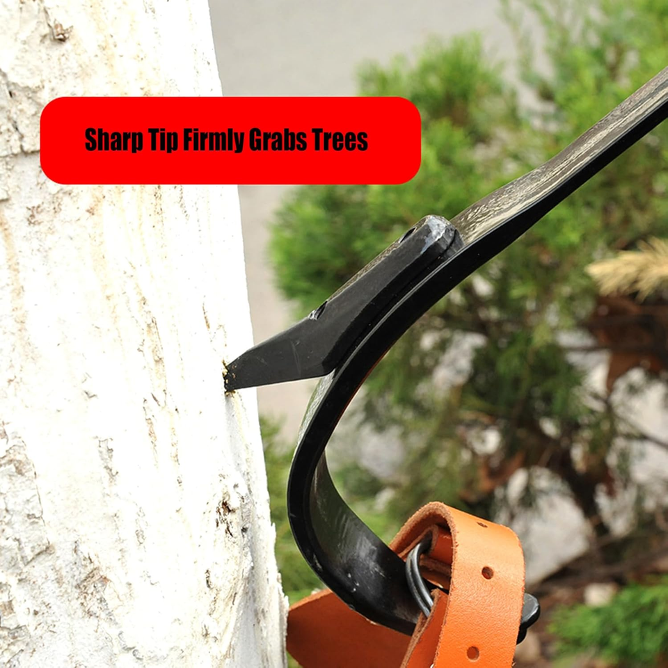 Tree Spikes Adjustable Height Pole Tree Climbing Spurs Steel w/2 ...
