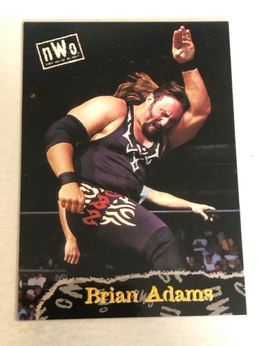 Brian Adams WCW NWO Wrestling Trading Card 1998 #55 | eBay