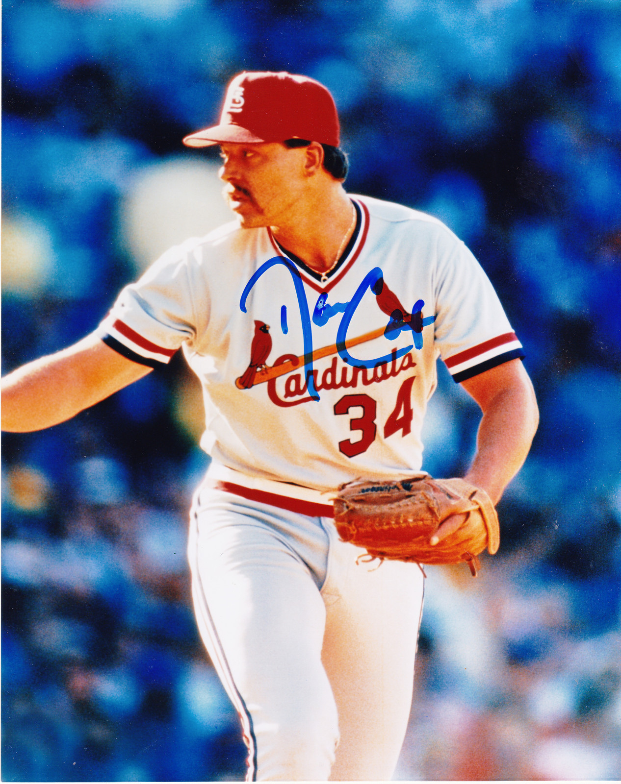 DANNY COX ST. LOUIS CARDINALS ACTION SIGNED 8X10 | eBay