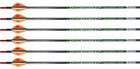 Victory VForce Gamer 400 Arrows Factory Fletched w/ 2" Blazer Vanes 6 ...