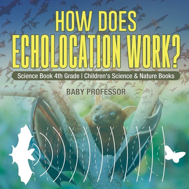 How Does Echolocation Work? Science Book 4th Grade | Children's Science ...