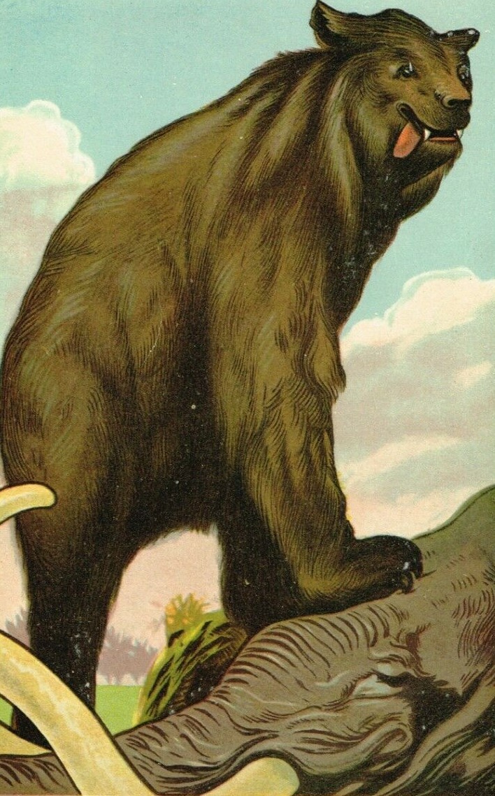 Prehistoric Bear