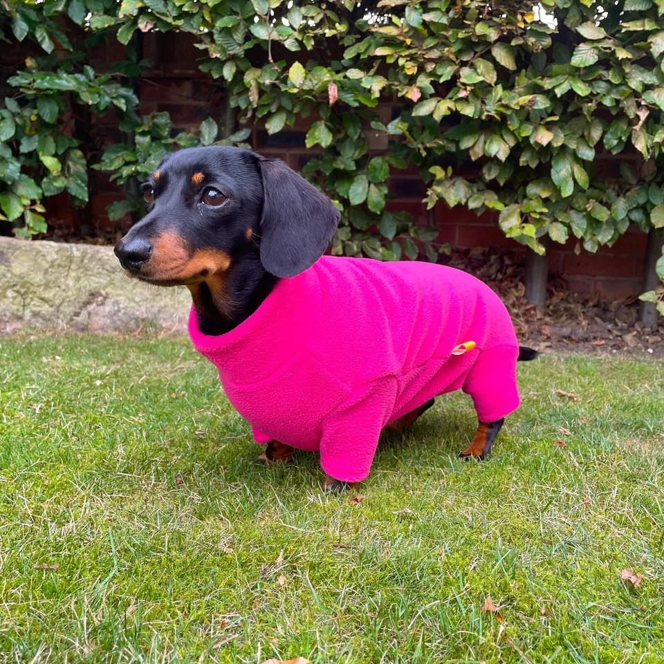 Dark Green Waterproof Fleece Dog Full Suit ~Equafleece 16dsl Slim Jump ...