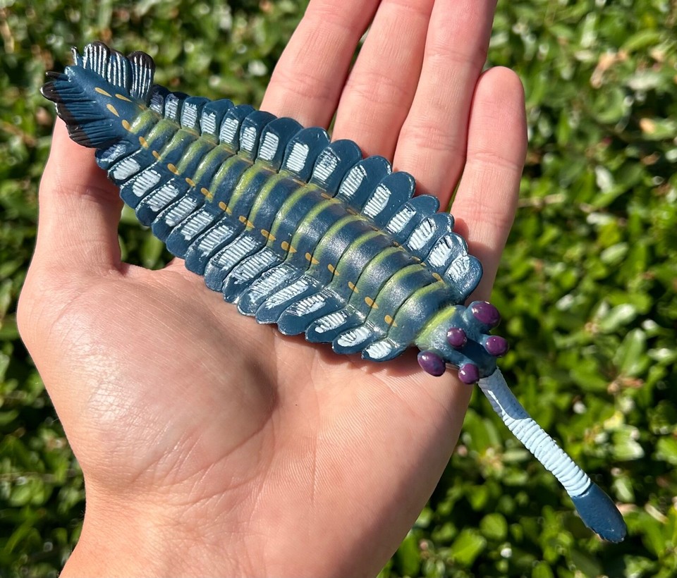 Opabinia Arthropod Fossil Model Display Replica Toy Teaching ...