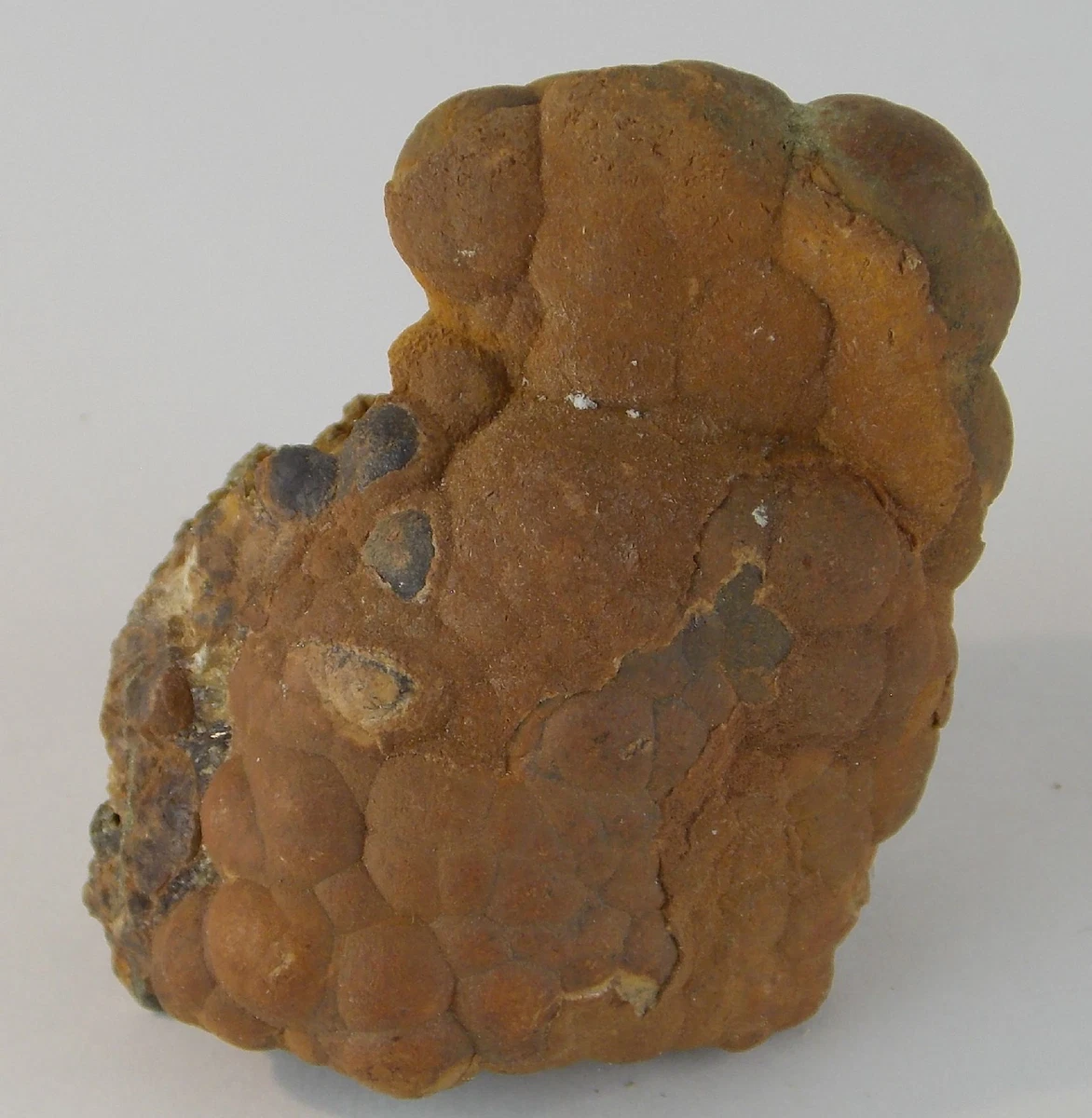 Botryoidal Siderite