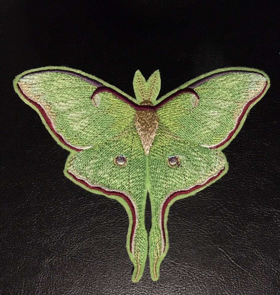 GLOW in DARK Large 6” Inch Embroidered Luna Moth IRON ON Patch | eBay
