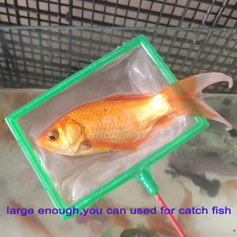 10 PCS Baby Brine Shrimp Net Fish 10 square Net, [VARIABLE] | eBay UK
