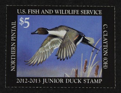 CKStamps: US Junior Duck Stamps Collection Scott#JDS20 $5 Mint NH OG | eBay
