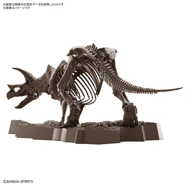 1/32 Triceratops Skeleton Model Dinosaur Figurine, Animated Pose, 23cm ...
