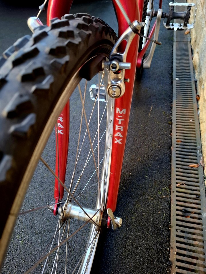 Raleigh M-Trax Titanium TI 1000 All Original 95/96 Retro Mountain Bike ...