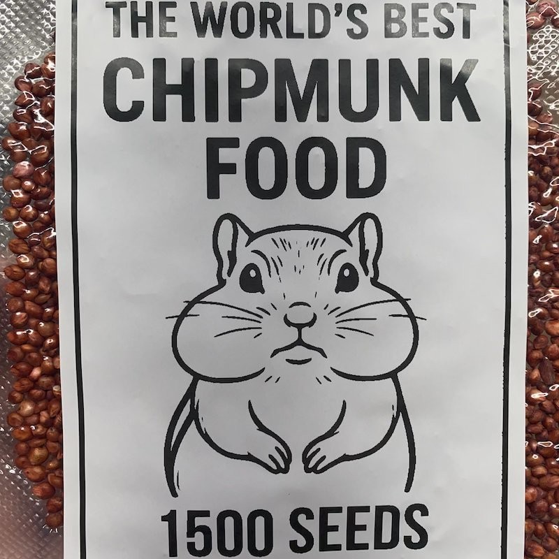 The World's Best Chipmunk Food Bait for Traps, 1500 seeds | eBay