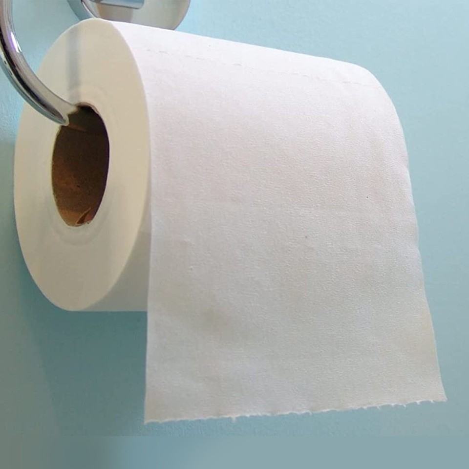 Standard Bathroom Tissue Roll 2-Ply White 500 Sheets Per Roll | eBay