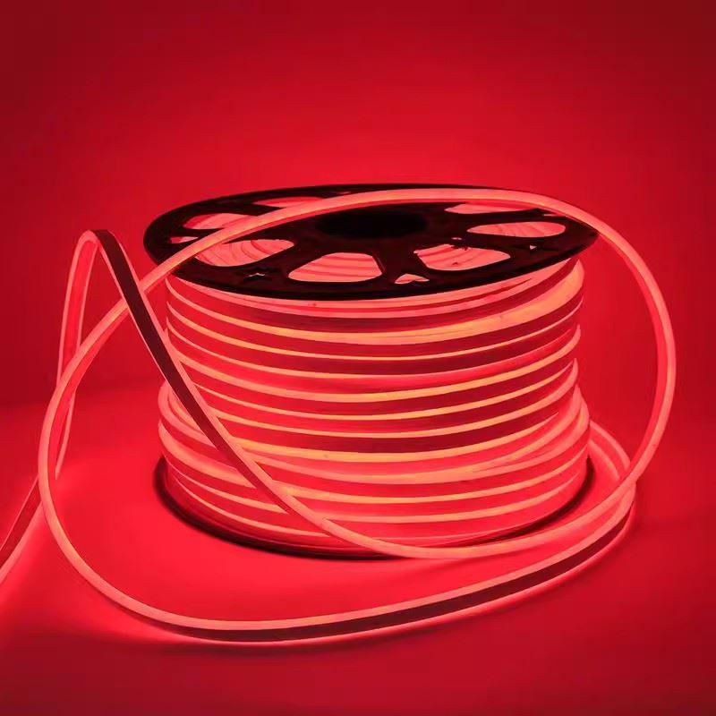 65ft Double-side Neon LED Light Strip 12V 24V Rope Tube Waterproof ...
