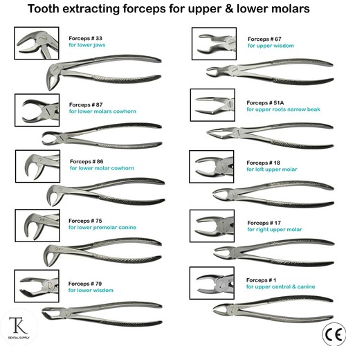 Tooth Extracting Forceps For Lower & Upper Molars Roots Loosening ...
