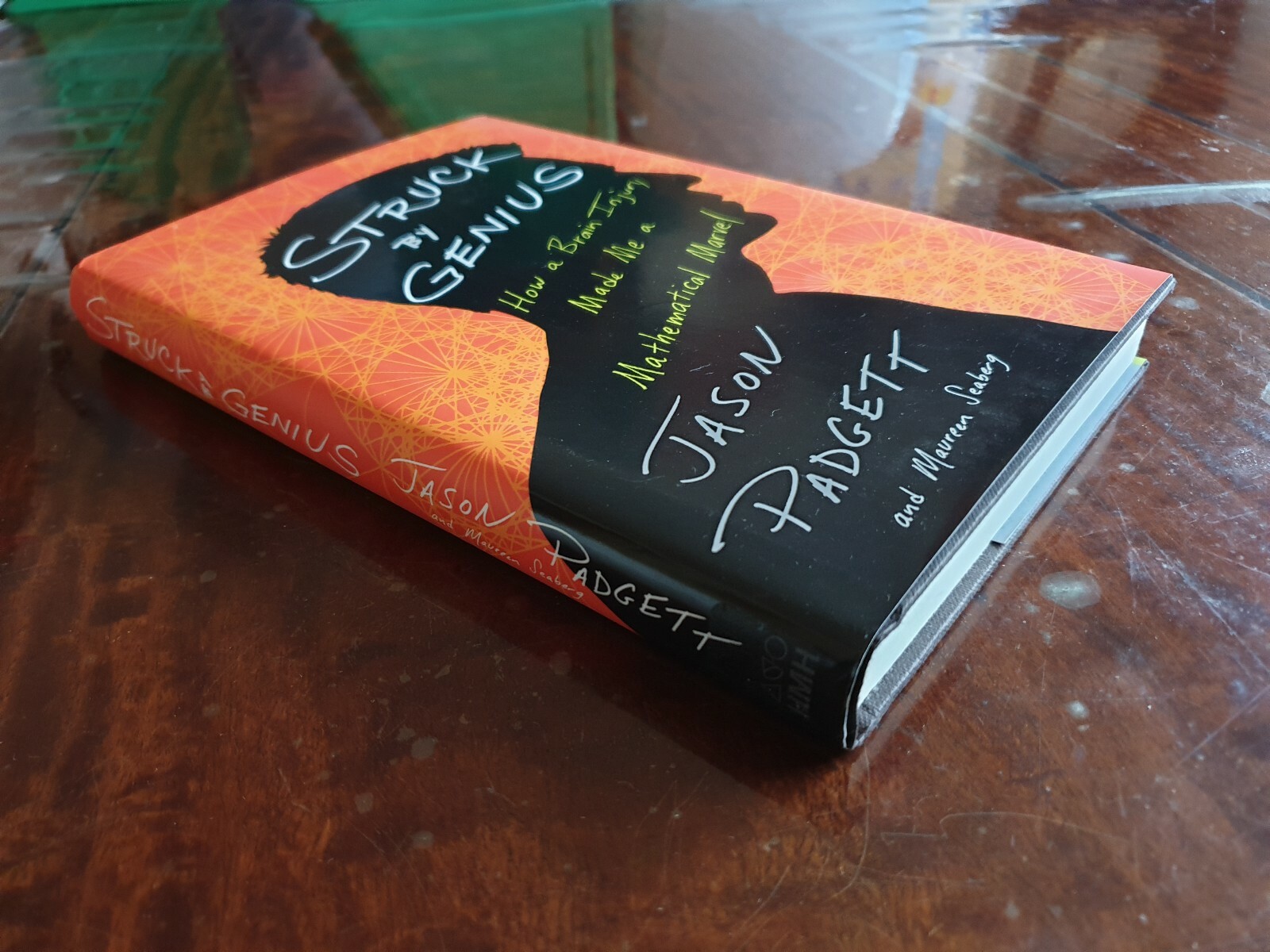 Struck by Genius How a Brain Injury Made Me a Mathematical Marvel by ...