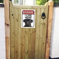 Beware Live Cane Corso Metal Gate Sign x | Offer of the day