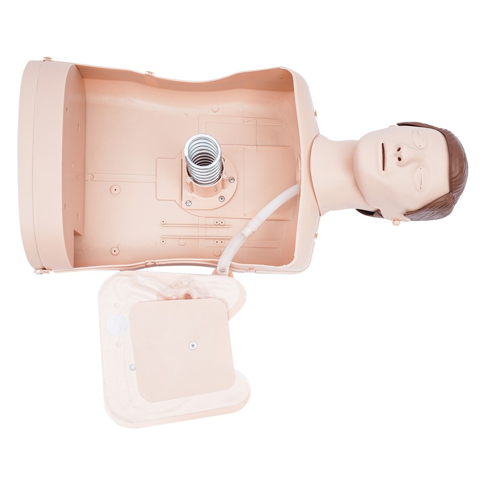 Adult CPR Adult Manikin Fit First Aid Training Patient Education ...