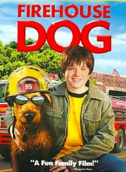 DVD Mania Pick Your Movies Disney Dogs Cats Animals Nature Combined ...