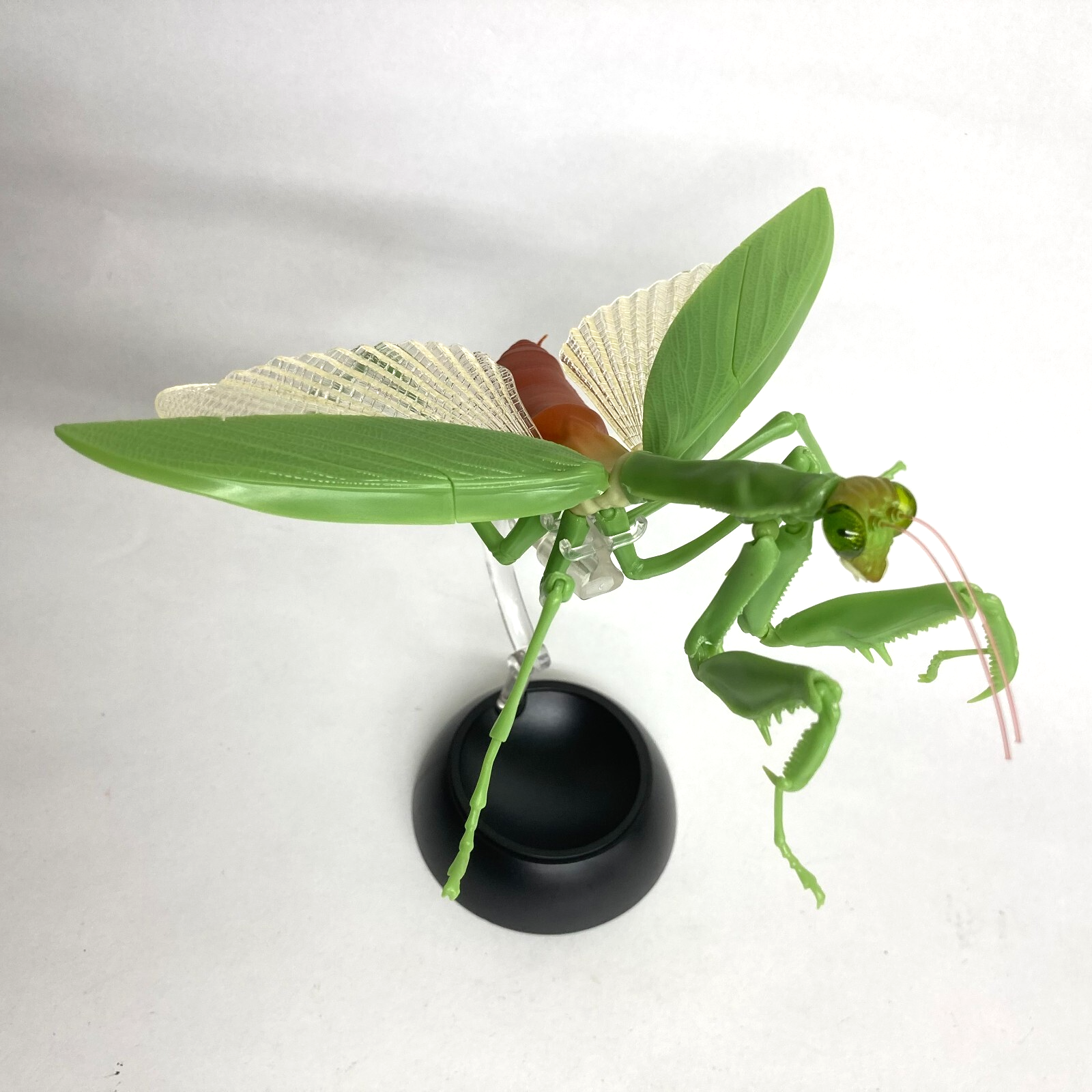 Bandai Gashapon Mantis Action Figure Clear White Color 15cm import ...