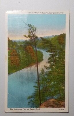 The Shades Indiana Most Scenic Park Postcard 82343-N Lonesome Pine ...
